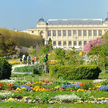 Bring the World to Bloom